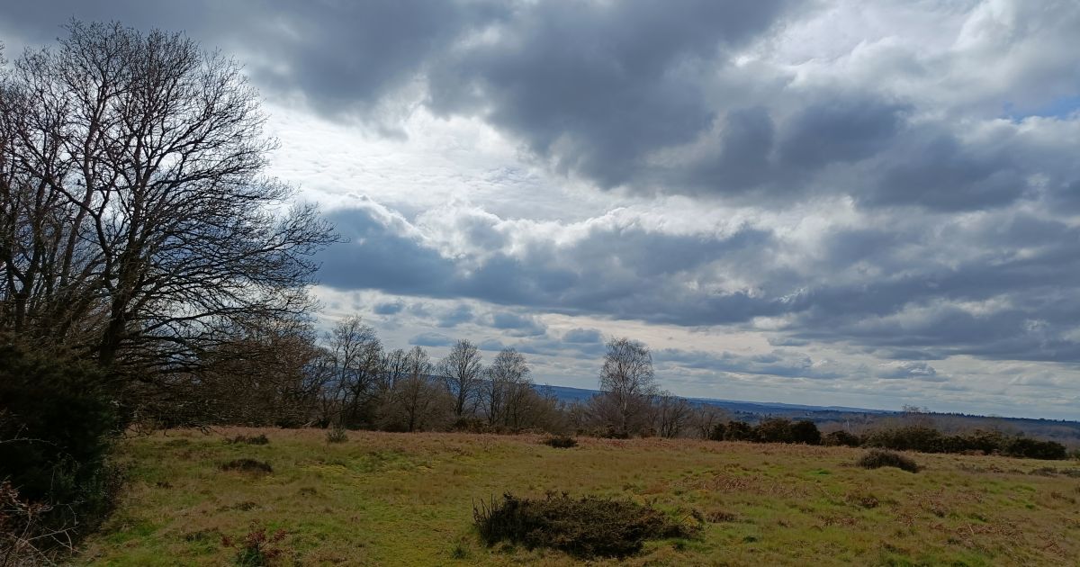 Newlands Corner and Merrow Downs with sherry and mince pies afterwards - Ramblers